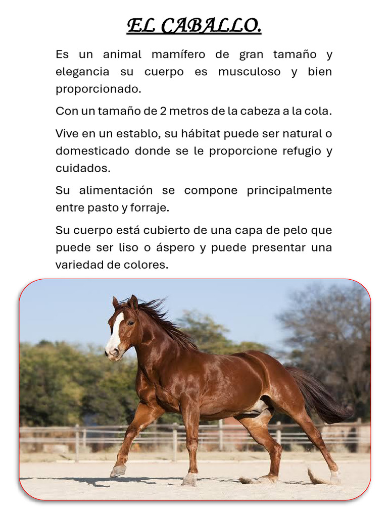El Caballo | PDF