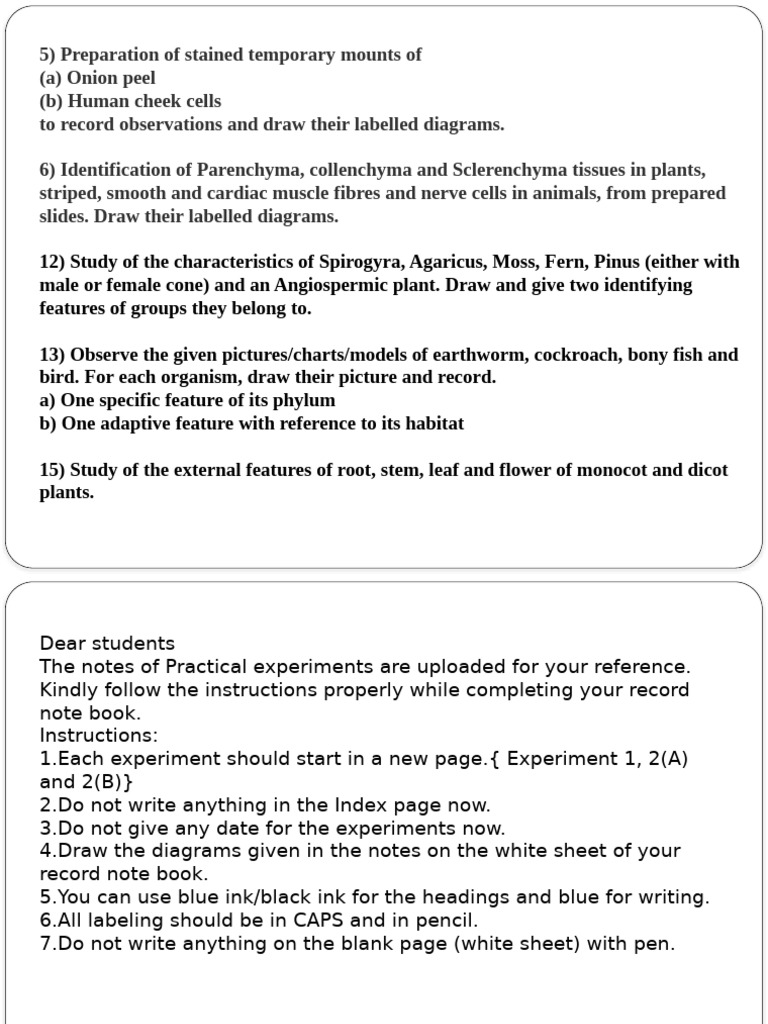Plant Tissue PPT | PDF | Tissue (Biology) | Plant Stem