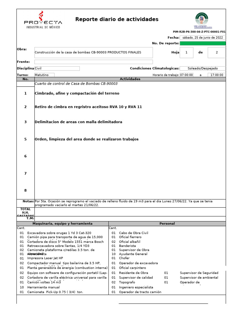 Formato de Reporte Diario Proyecta 25 de Junio | PDF