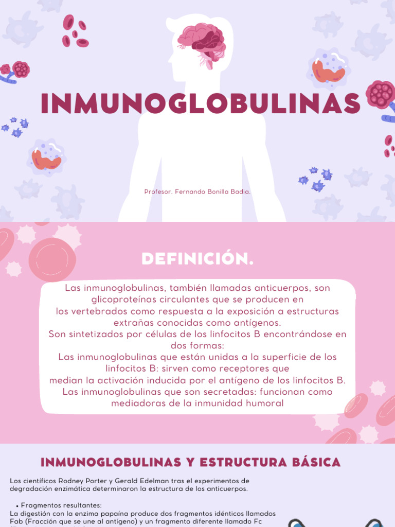 Inmunoglobulinas 20240426 062531 0000 Pdf Anticuerpo