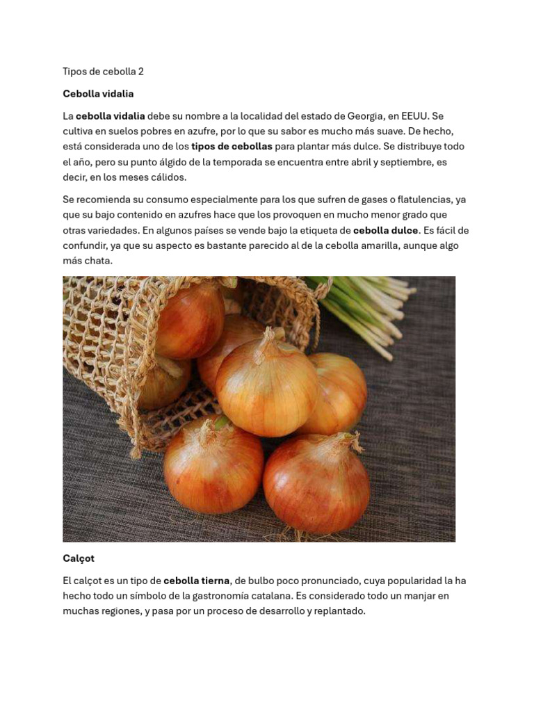 Tipos de cebolla 2 | PDF