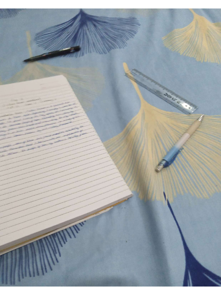 IMG_20250412_085535_130 | PDF