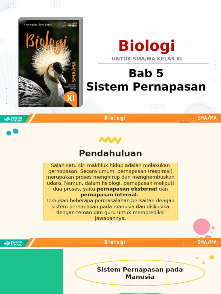 Respirasi Biologi Kelas XI Kur-Merdeka | PDF