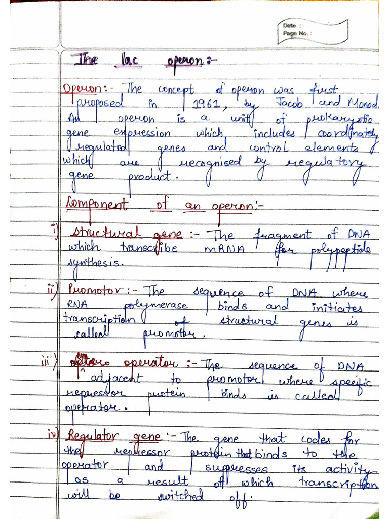 12th Class Lac Operon System | PDF