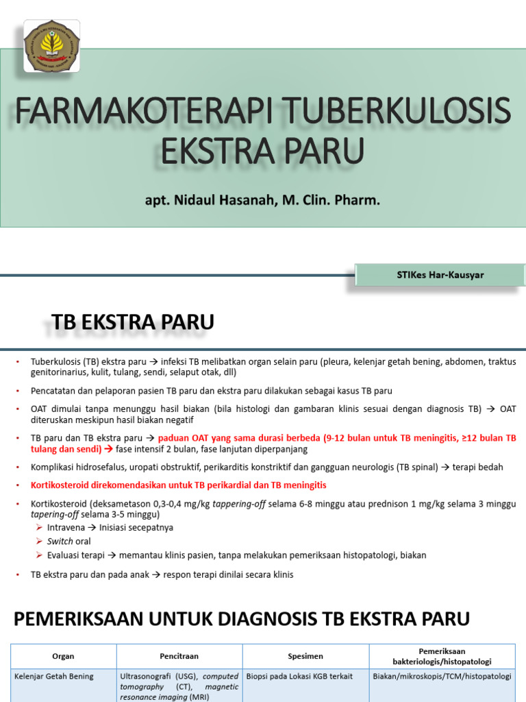 Panduan Terapi dan Diagnosis TB Ekstra Paru | PDF