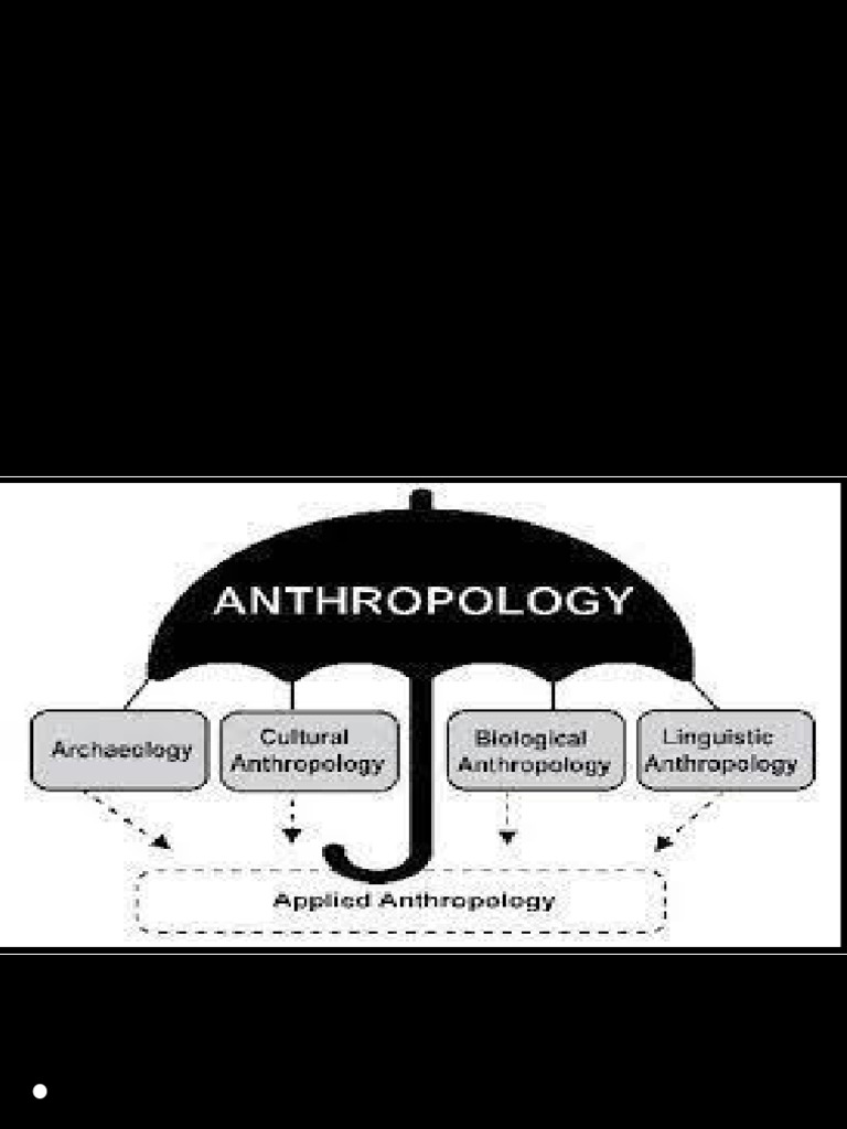 Overview of Anthropology's Four Branches | PDF | Anthropology | Race ...
