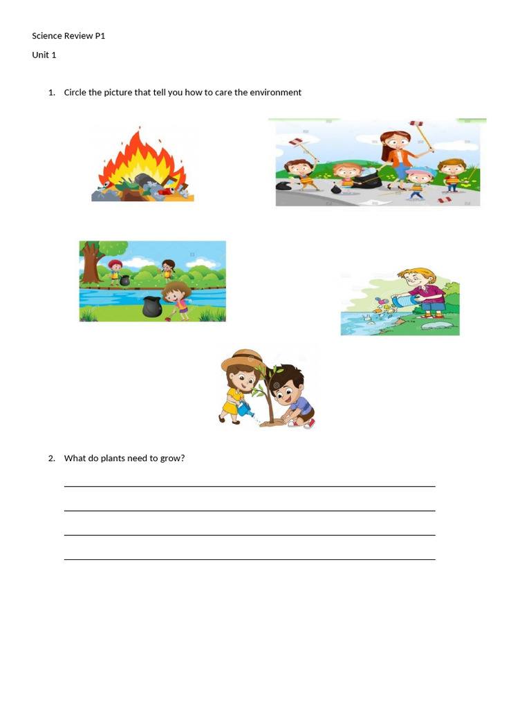 Science Review P1 | PDF