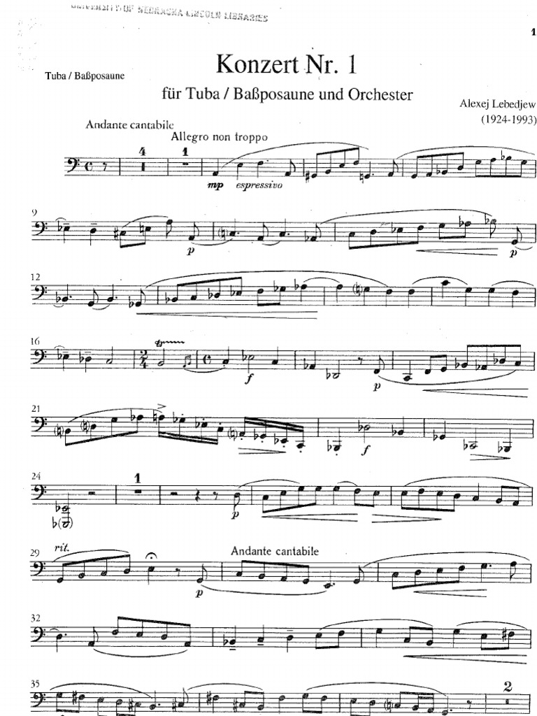 Lebedev-Concerto in One Movement | PDF
