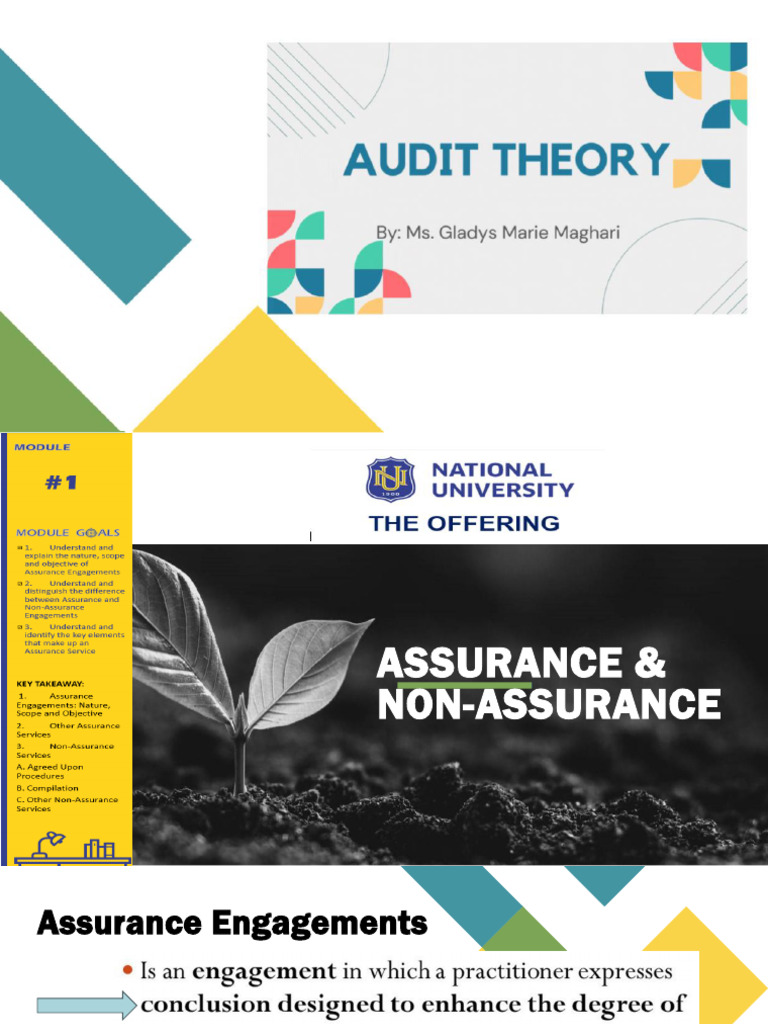 Types of Assurance Engagements Explained | PDF | Audit | Auditor's Report