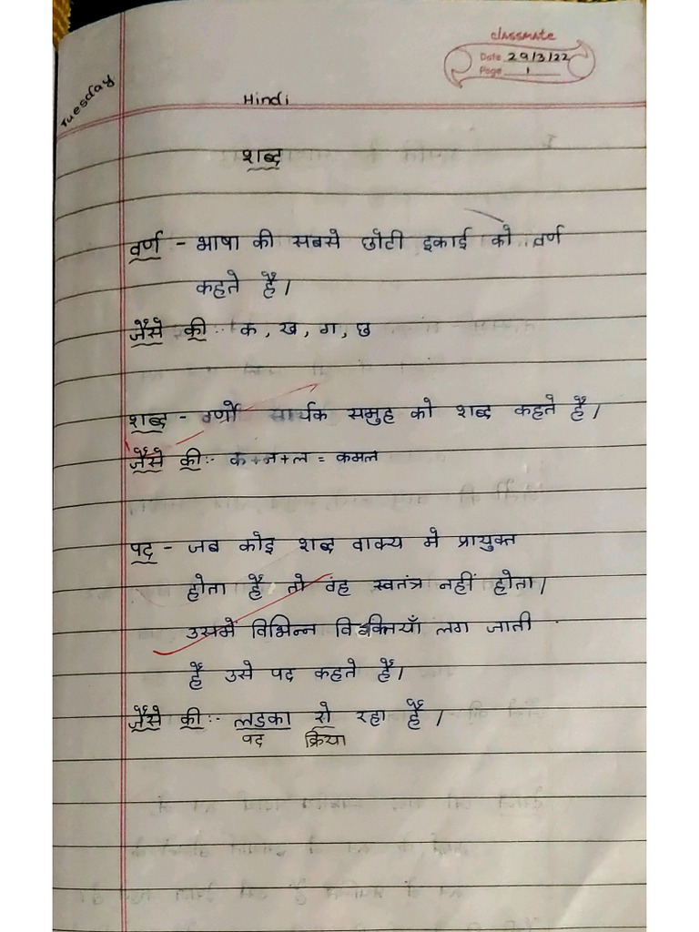Hindi Notes | PDF