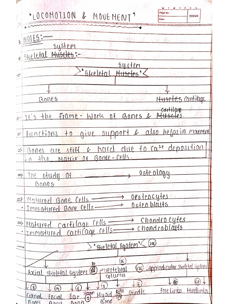 Locomotion & Movement Notes | PDF