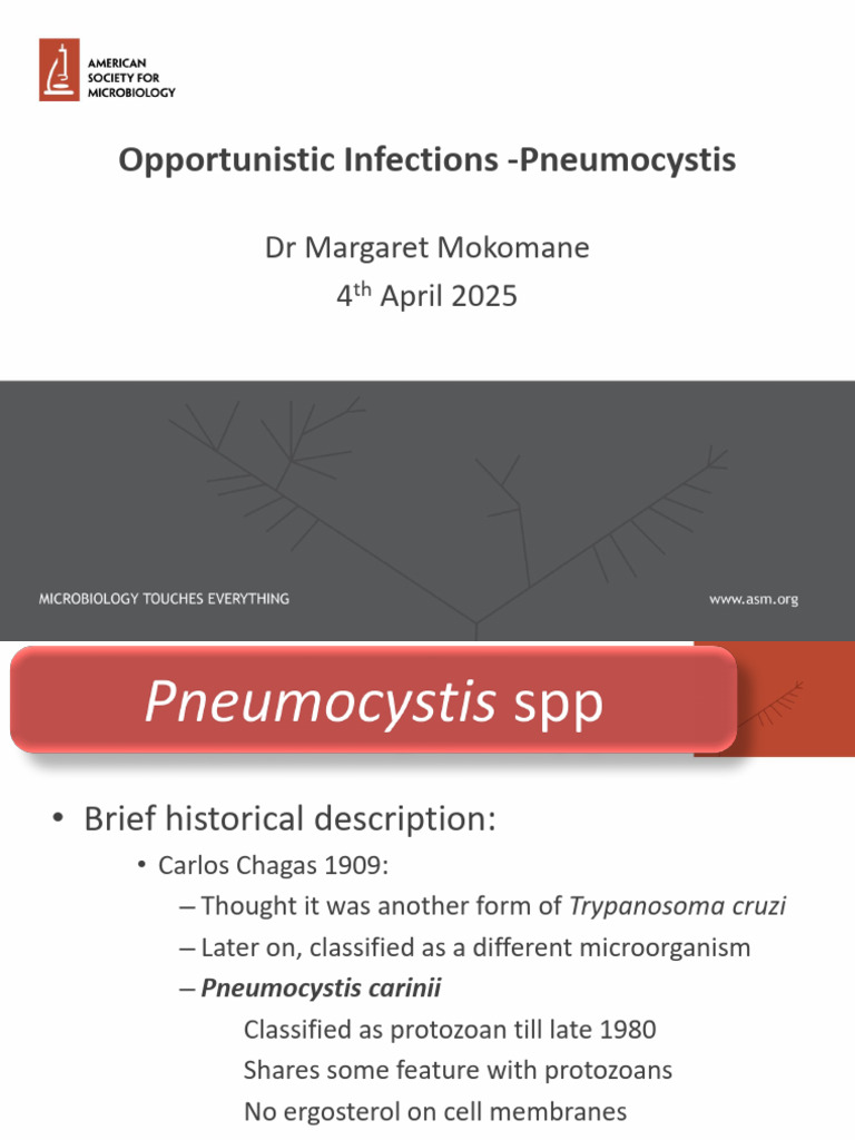 Lecture 4b Pneumocystis 11052023 | PDF | Medicine | Microbiology