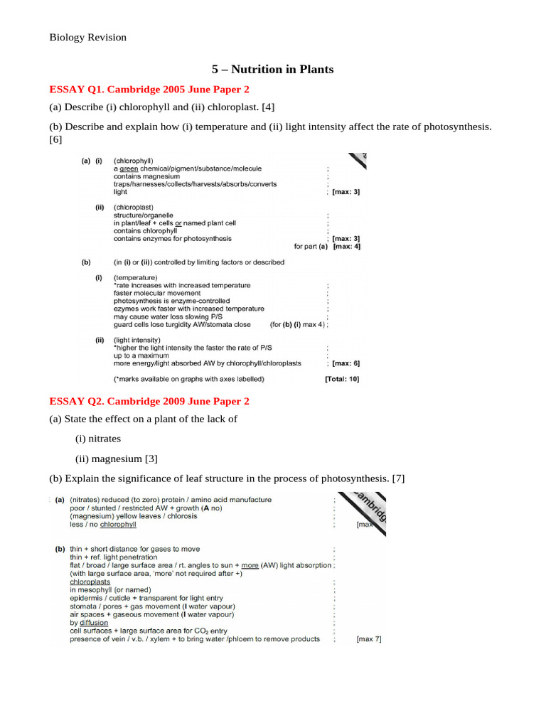 Compiled Biology Essay - 5 Nutrition in Plants | PDF