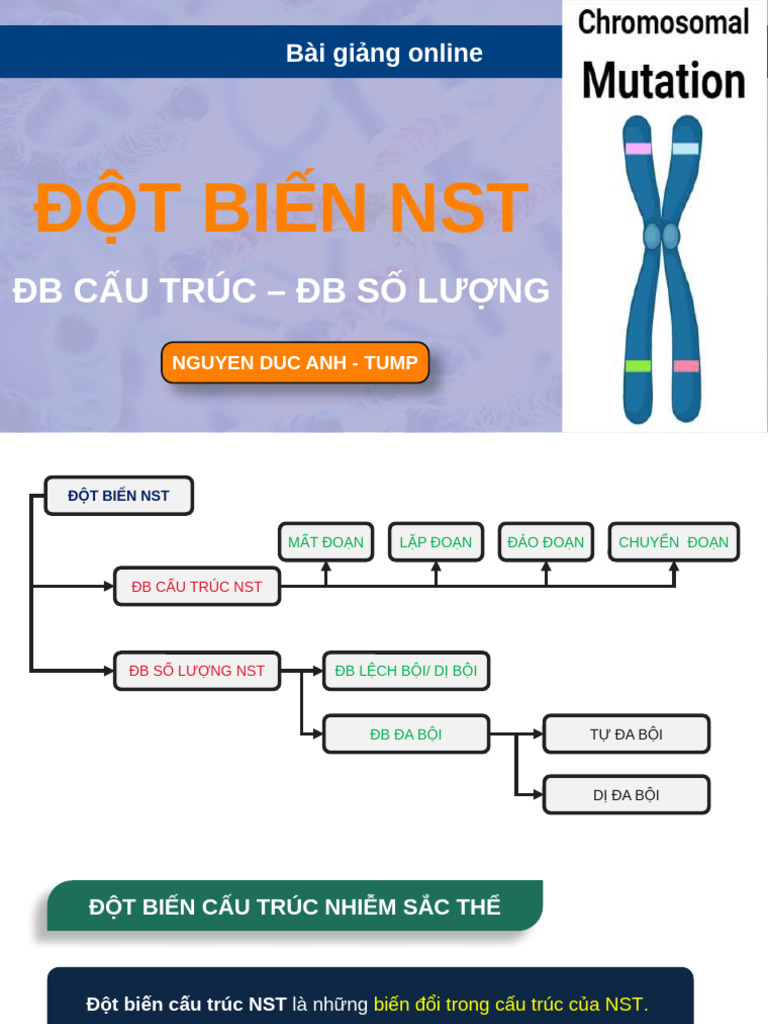 Bai 5 Nhiem sac the va dot bien cau truc nhiem sac the | PDF