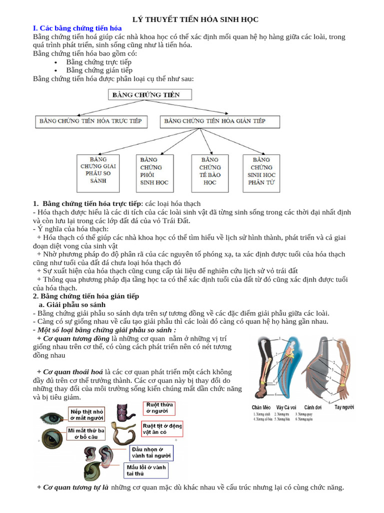 Lý Thuyết Tiến Hóa Sinh Học | PDF