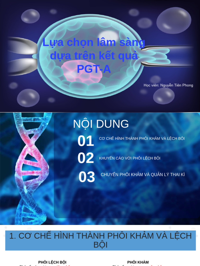 Khảm PGTA | PDF