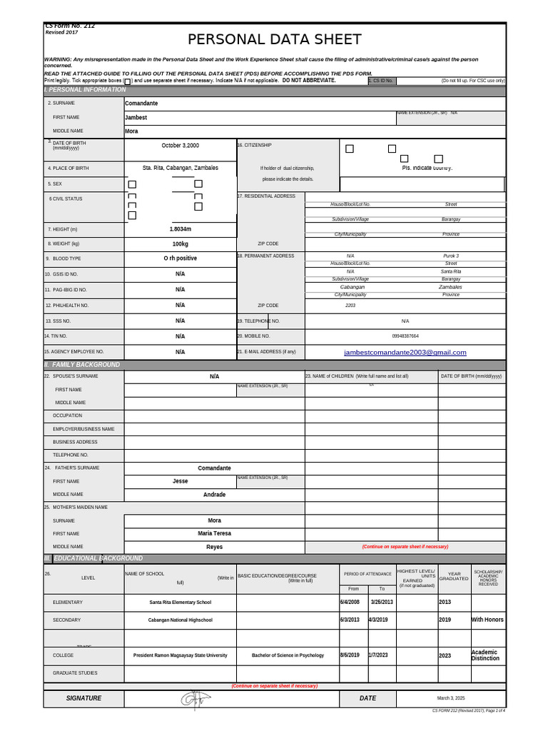 Personal Data Sheet Template | PDF | Government