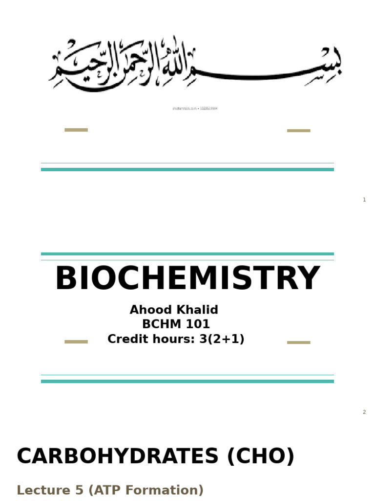 ATP Formation and Electron Transport Chain | PDF | Electron Transport Chain | Adenosine Triphosphate