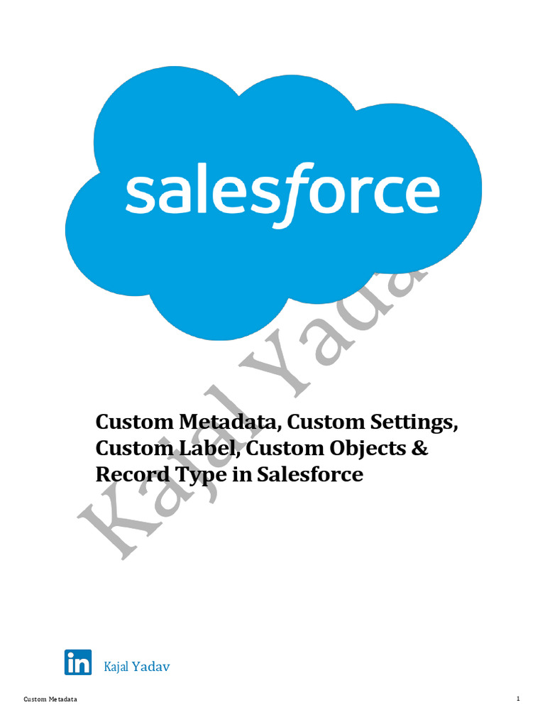 Custom Metadata Settings Label Objects In Salesforce Pdf