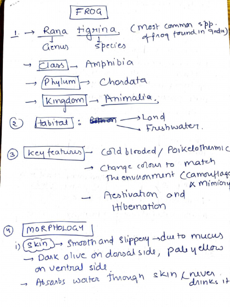 Frog (Hand Written Notes) Part-2 | PDF