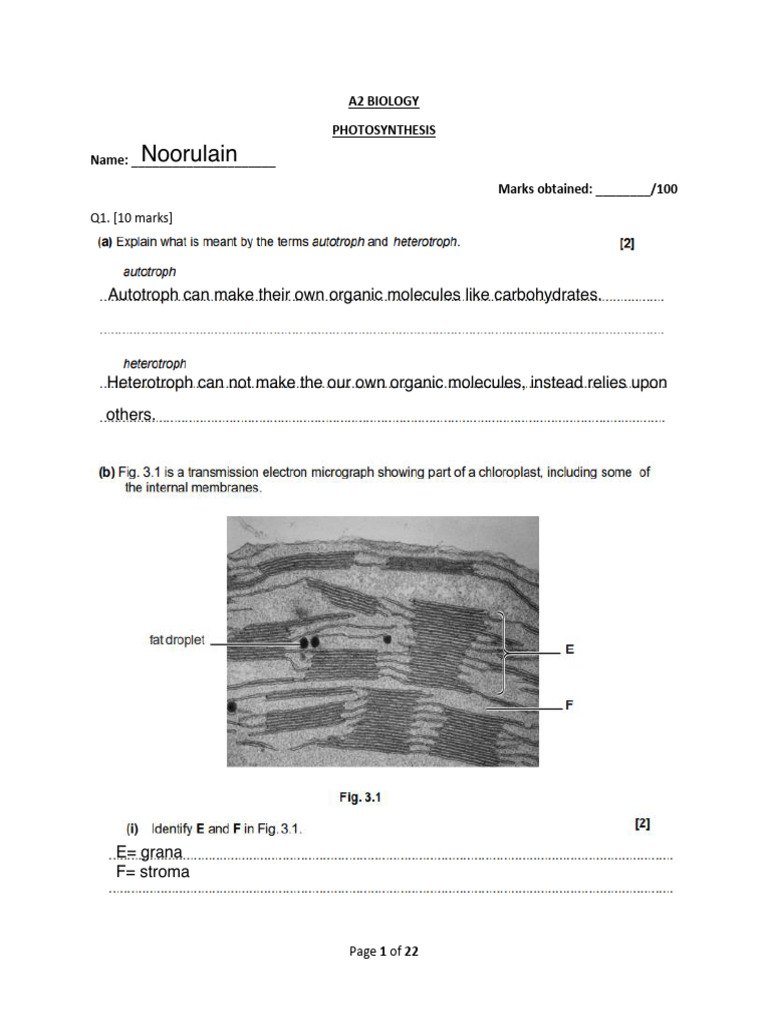 Photosynthesis Study Guide for A2 Biology | PDF | Photosynthesis ...