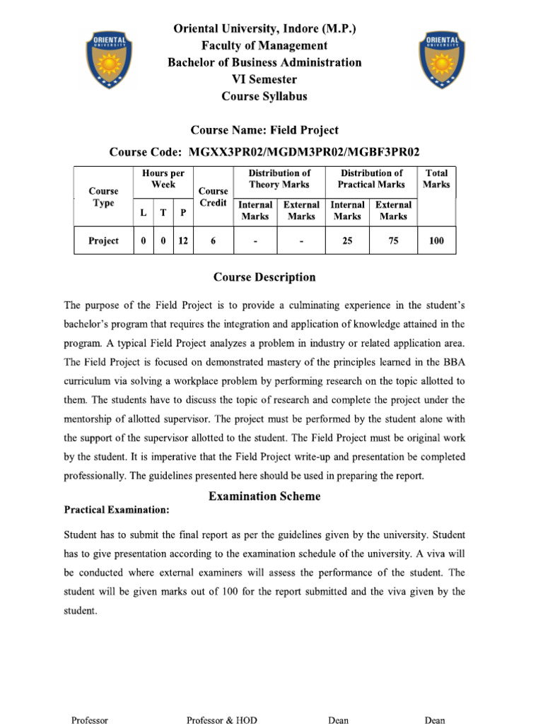 BBA Field Project - Final & Updated | PDF