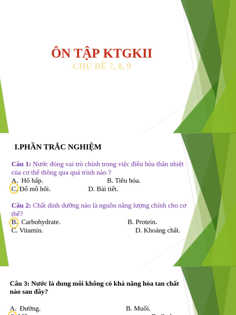 ÔN TẬP -KTGKI | PDF