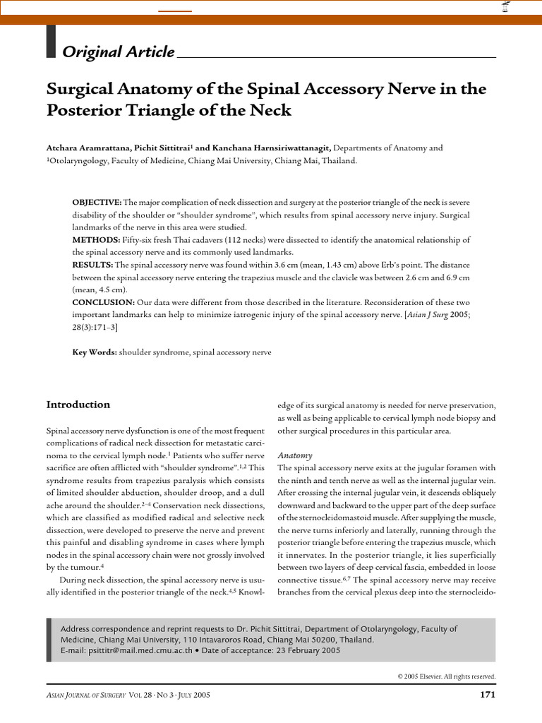 Surgical Anatomy of The Spinal Accessory Nerve in The Posterior ...