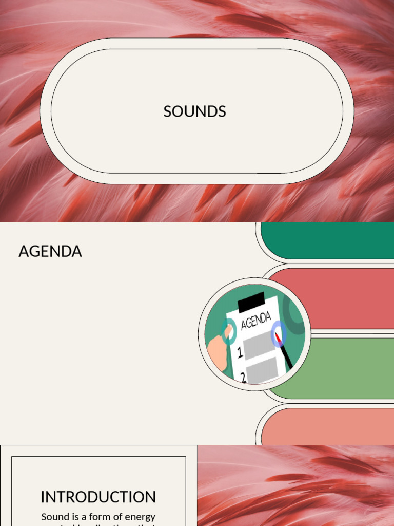 Sounds Science Updated | PDF | Sound | Waves