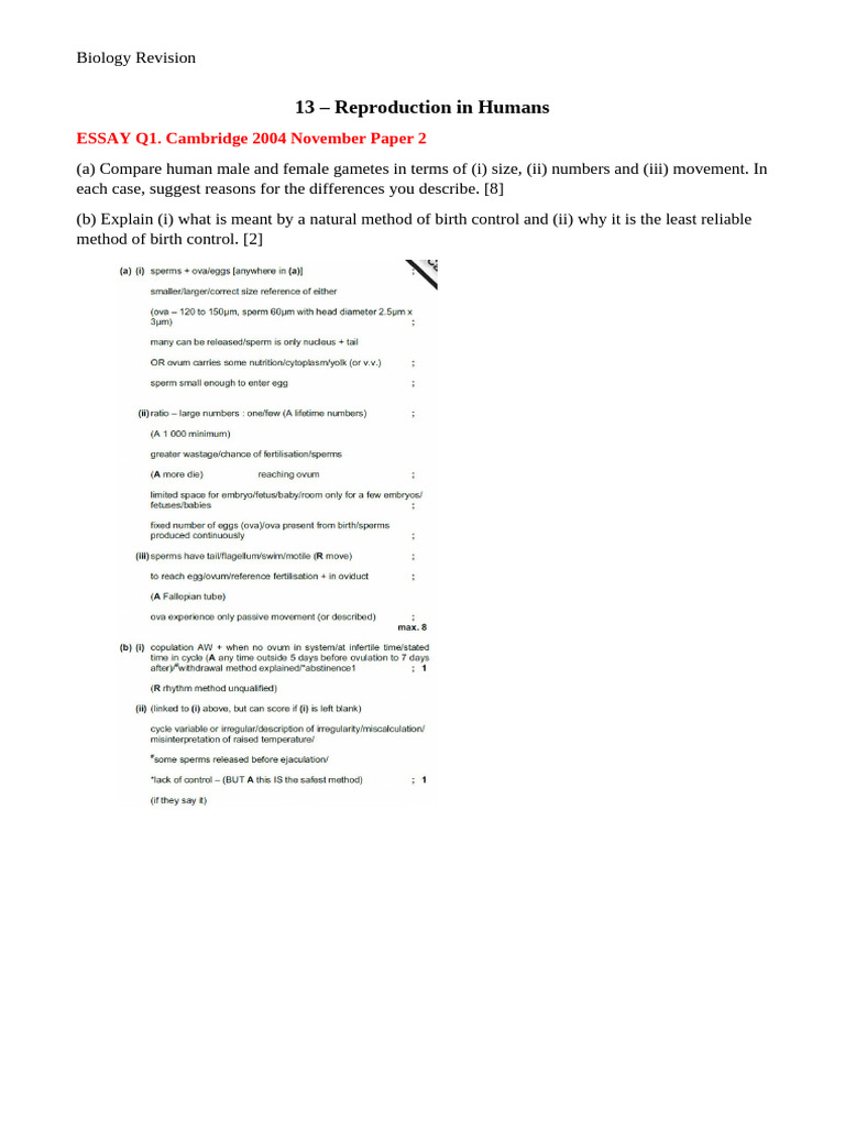 Compiled Biology Essay - 13-1 Reproduction in Humans | PDF