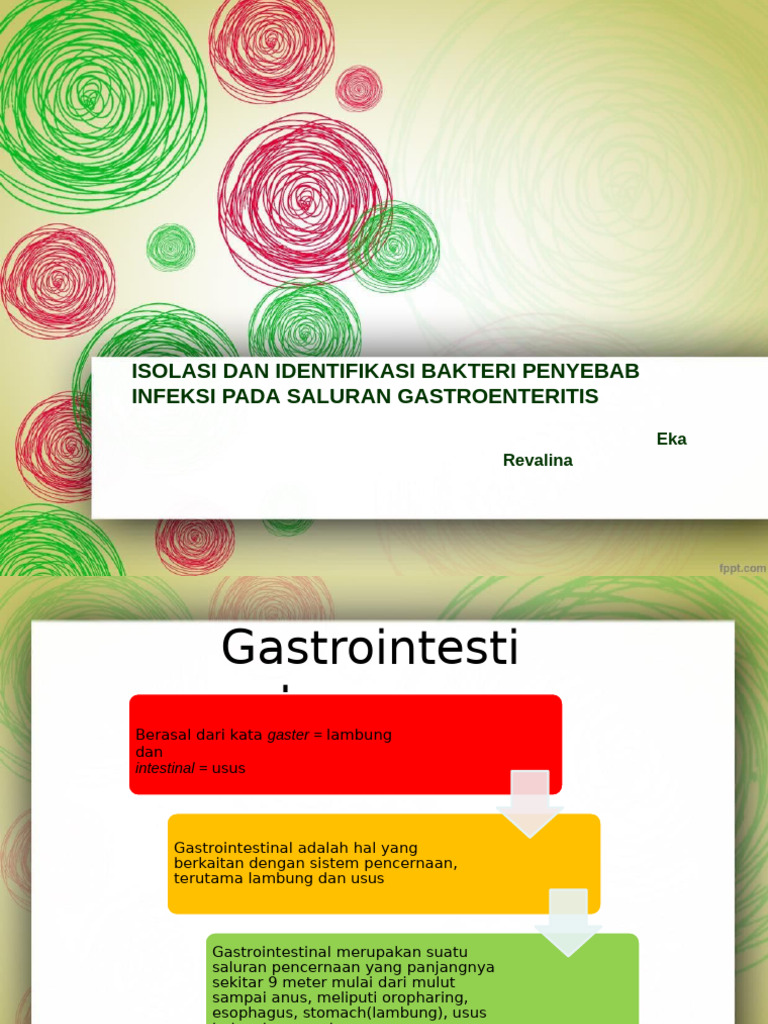 Eka Revalina Isolasi Bakteri Pasa Saluran Gastro | PDF