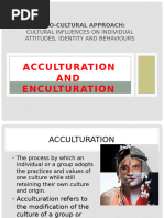 Berry Acculturation Model | PDF