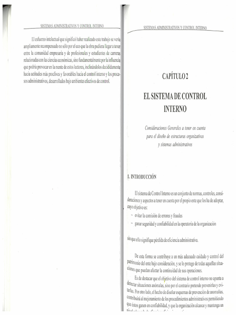 Pungitore-Cap-02-Sistema-de-Control-Interno | PDF