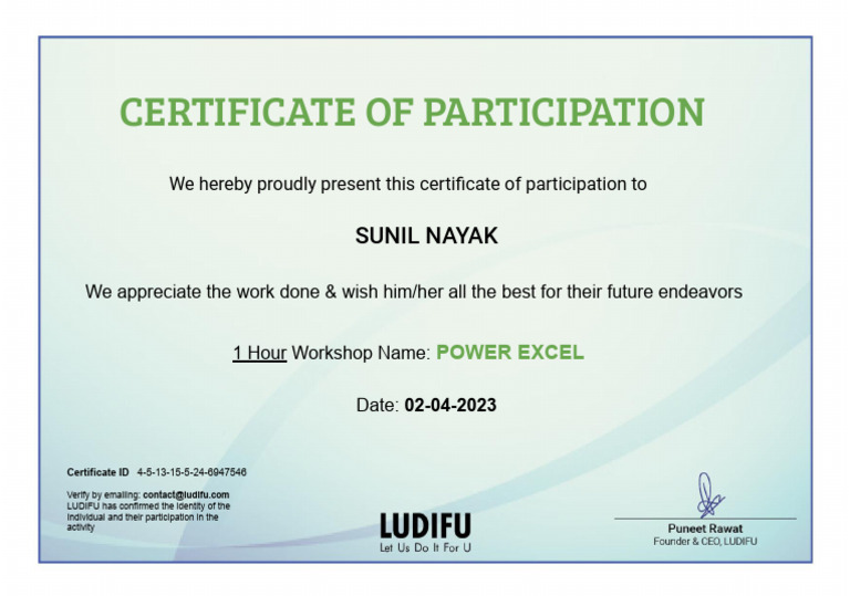 Power Excel Participation Certificate | PDF