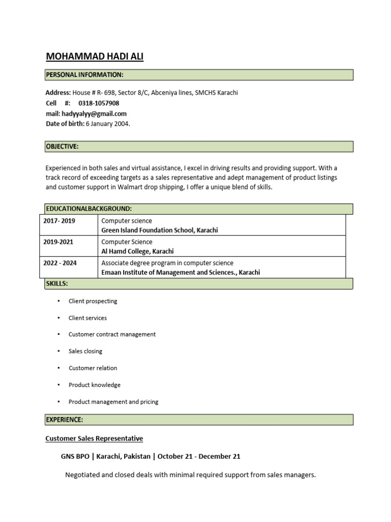 Mohammad Hadi Ali, Resume | PDF | Sales | Business