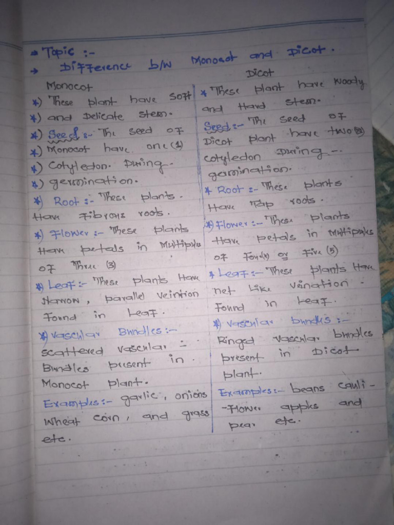 botany Assignment | PDF