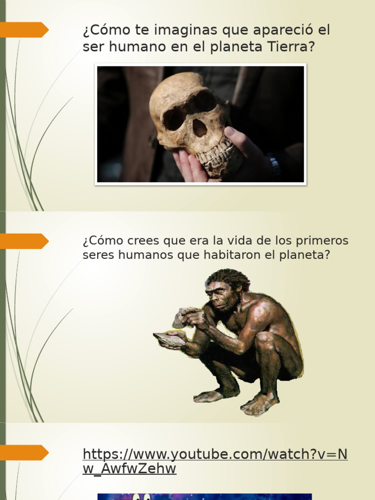 Evolución del Ser Humano: Hominización | PDF | Homo | Evolución humana
