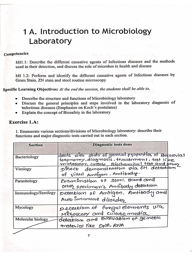 Microbiology Journal-First Term | PDF