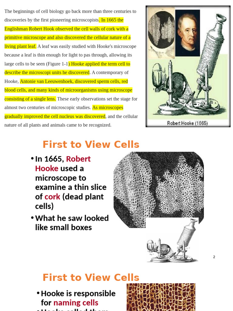 Lecture 1 1hr 17-5-21 | PDF | Cell (Biology) | Prokaryote