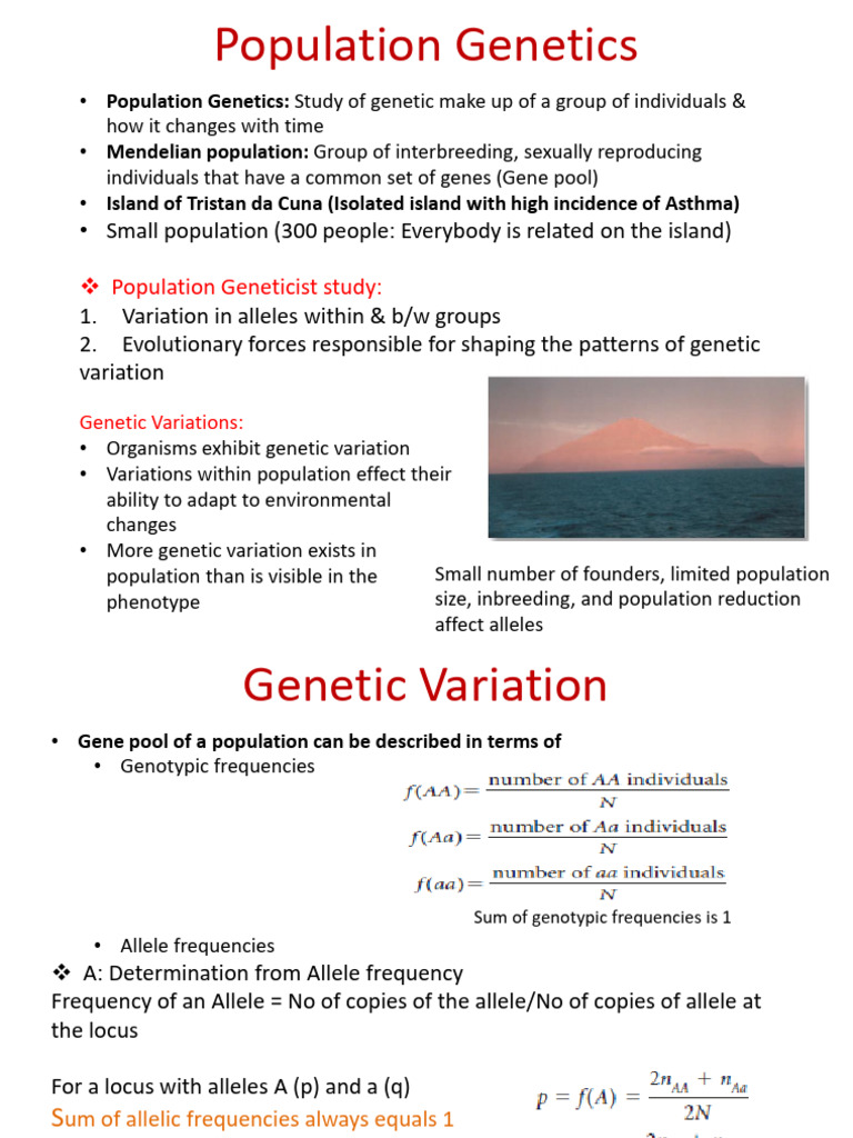 Population Genetics - 14.1.2025 | PDF | Dominance (Genetics) | Allele