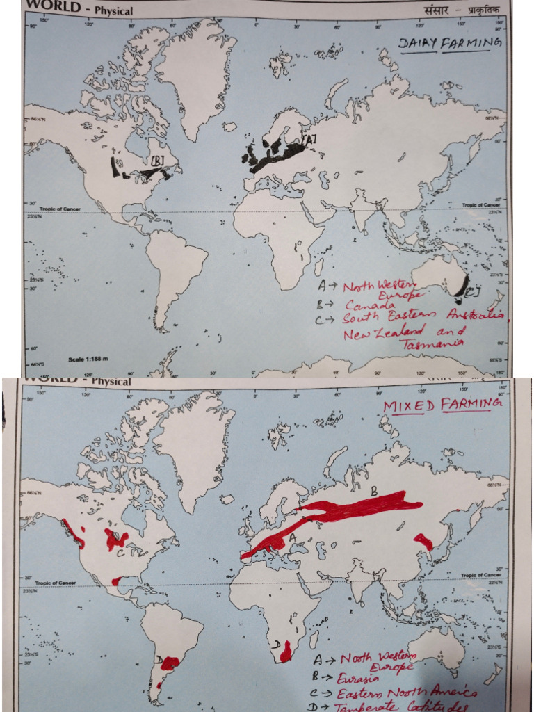 Geography Primary Activities Maps | PDF