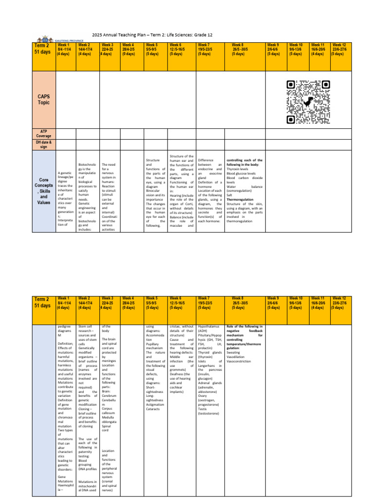 Grade 12 Life Sciences ATP 2025 Term 2 | PDF | Neuron | Nerve