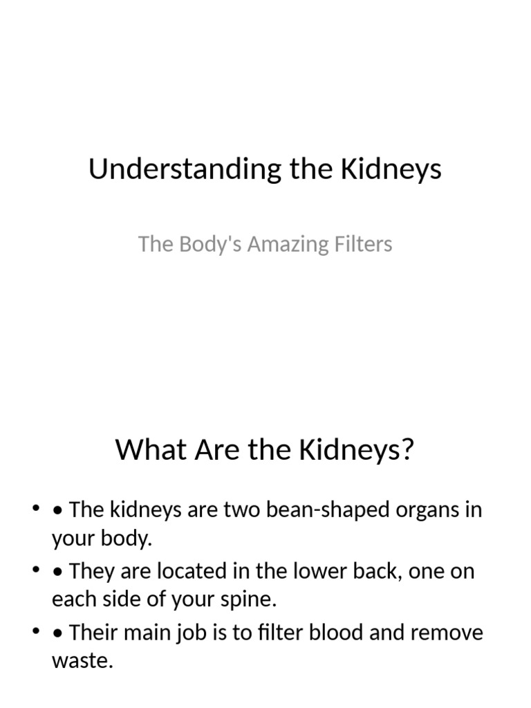 Kidneys: Functions, Anatomy, and Health | PDF