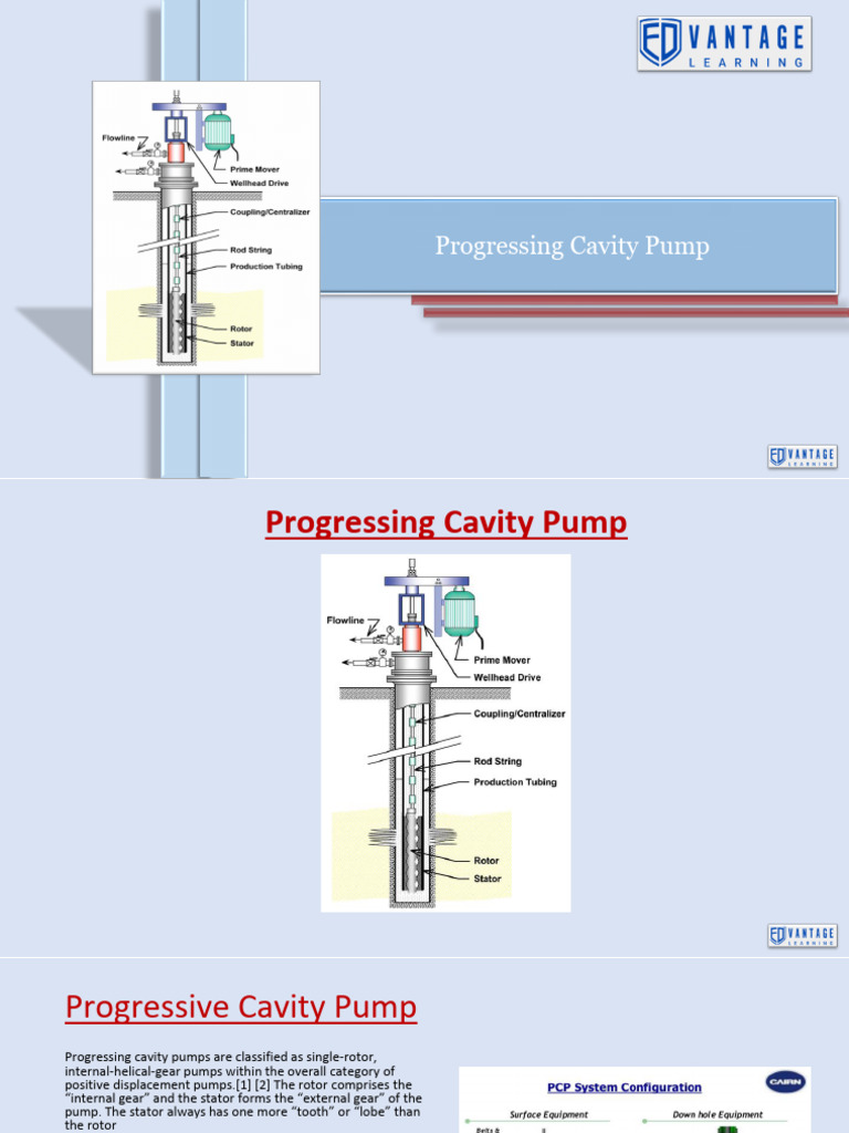PCP Pumps | PDF | Pump | Pressure