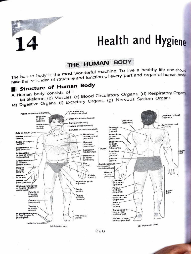 R Gupta Health and Hygiene | PDF