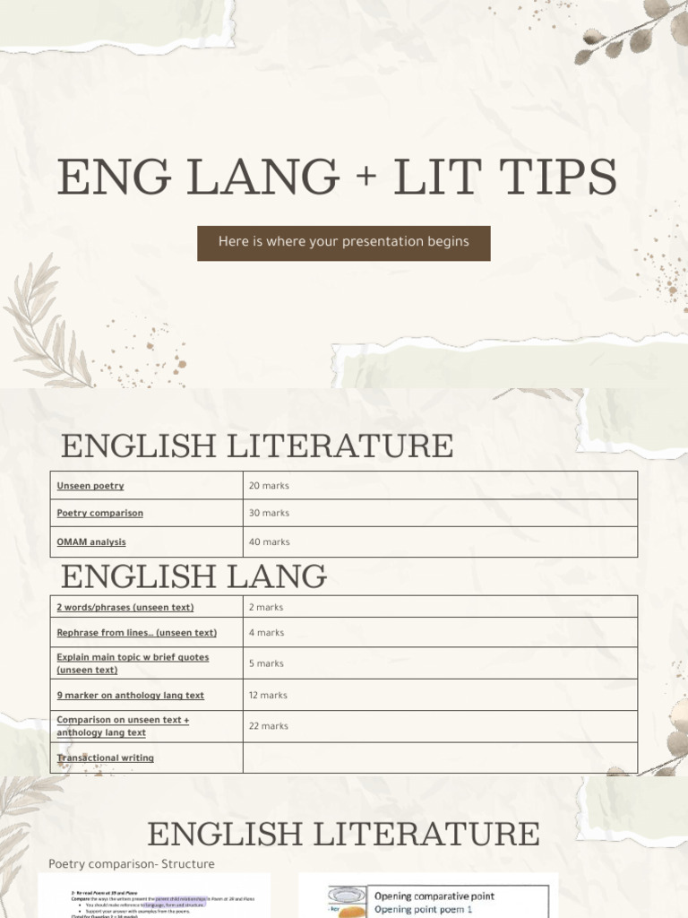 English Lang and Lit Tips | PDF