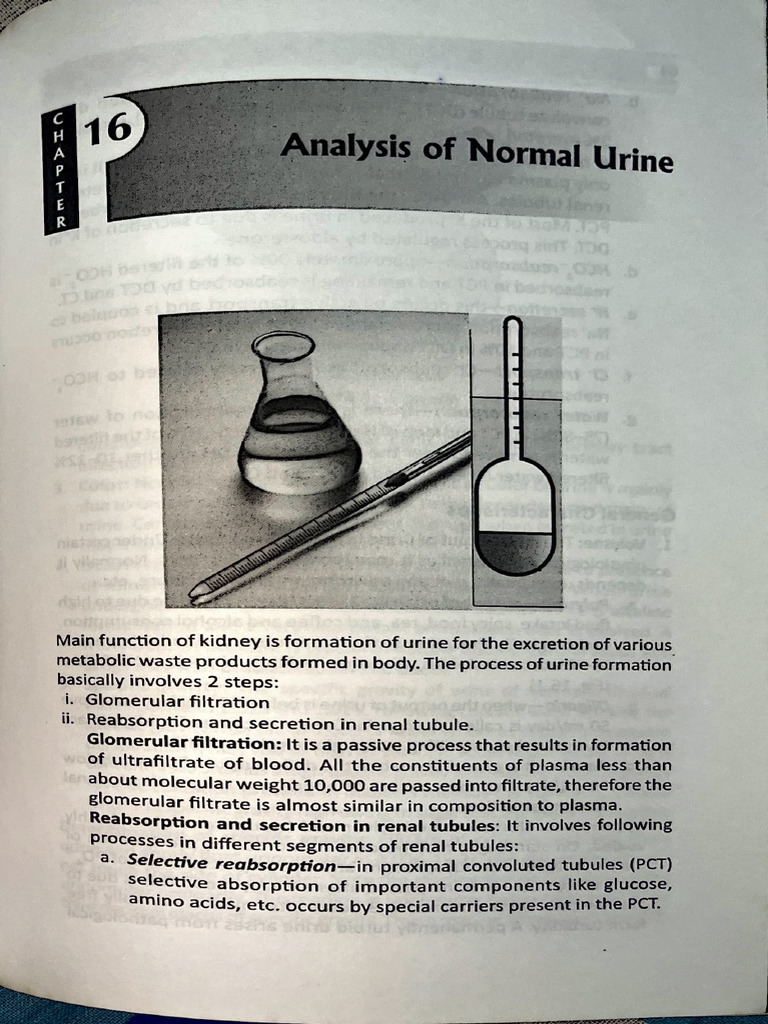 Urine Test | PDF