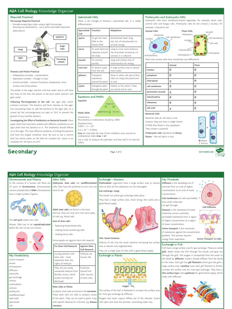 AQA Cell Biology Knowledge Organiser | PDF | Cell (Biology) | Bacteria