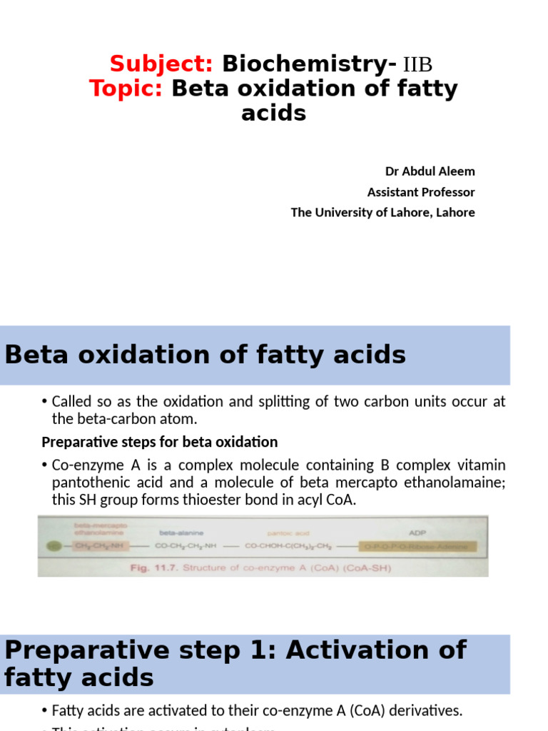 Beta Oxidation of Fatty Acids | PDF | Fatty Acid | Biochemistry
