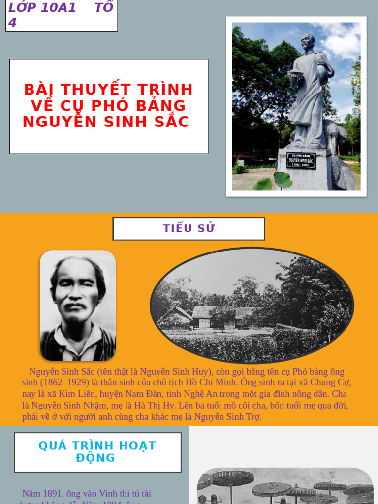 BÀI THUYẾT TRÌNH NGUYỄN SINH SẮC TỔ 4. 10A1 | PDF